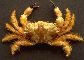 Juxtaxanthias tetraodon