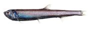 Phosichthys argenteus